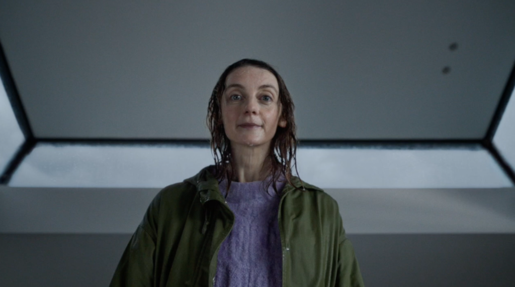 Iams Catness - Soundtree Music