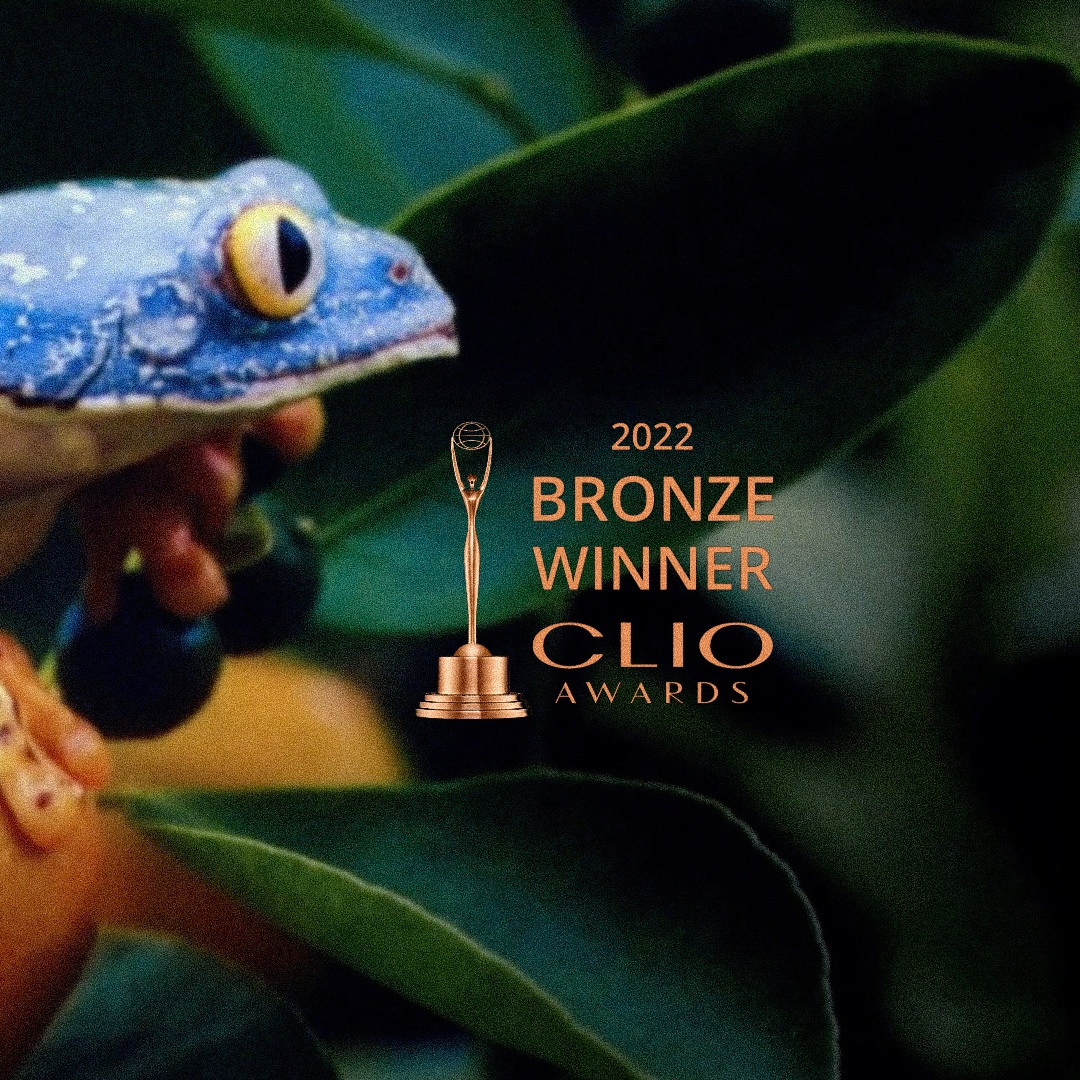 Homepage - Soundtree Music