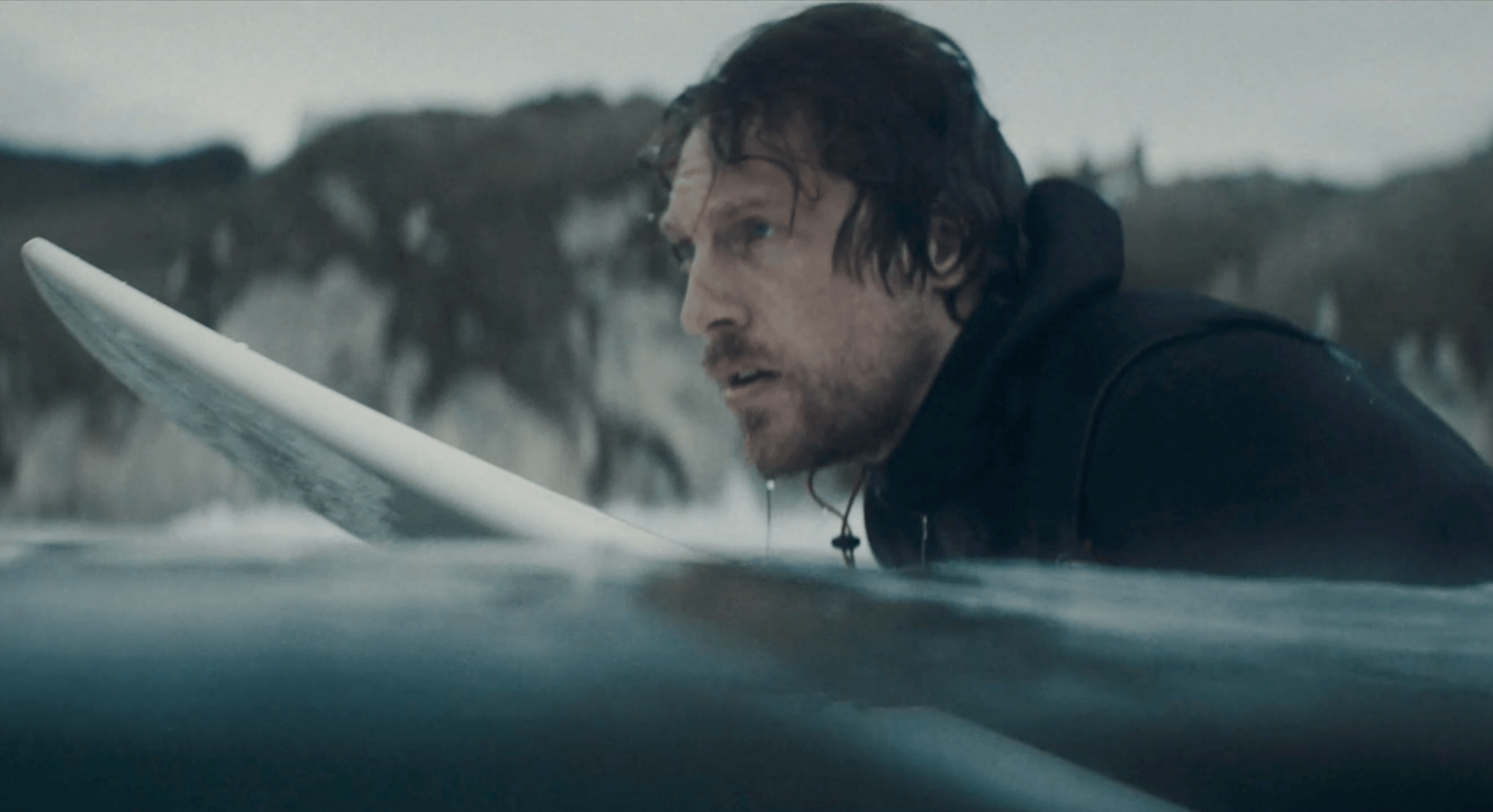 Homepage - Soundtree Music