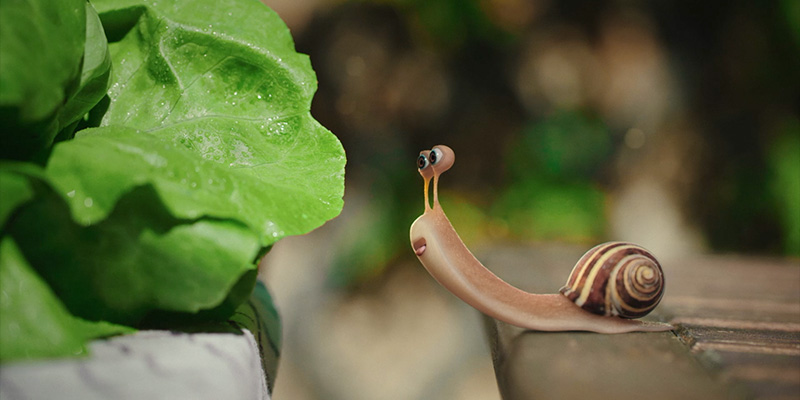 Homepage - Soundtree Music