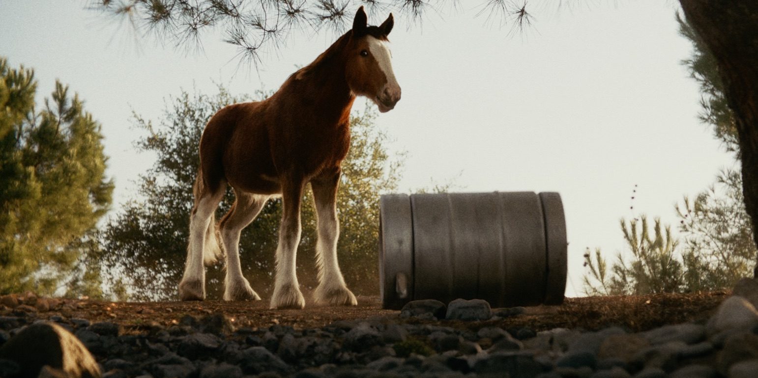 'K4 - You Can't Look Away' - Soundtree Music